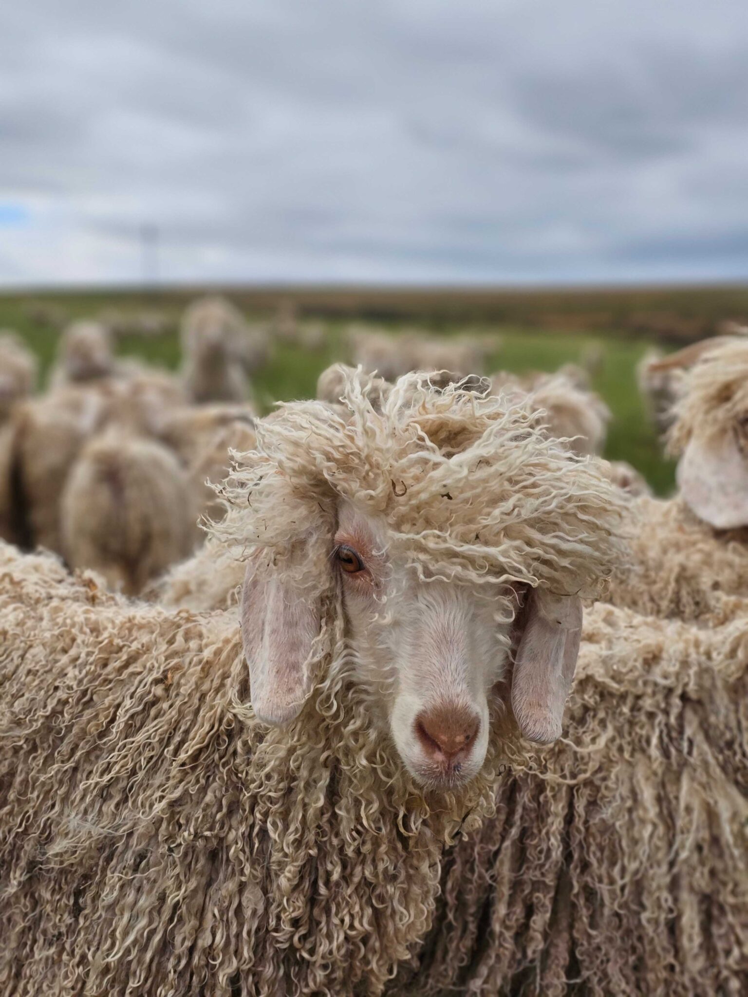 GALLERY – Coral Stephens